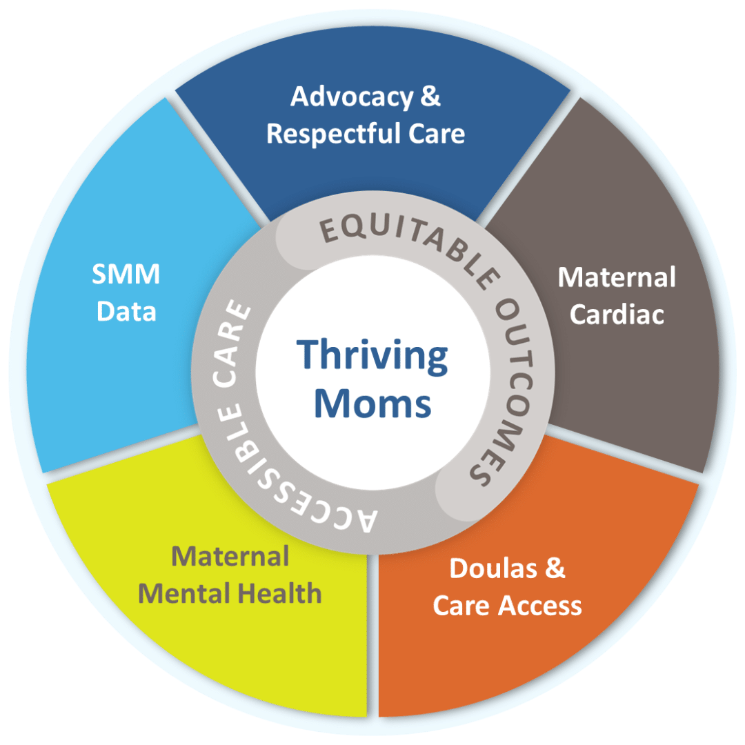 Georgia Maternal Health Task Force | Hope for Georgia Moms